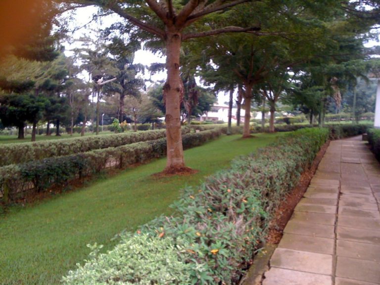 Kyambogo University, KYU Online Application Forms - 2024/2025 Admission ...
